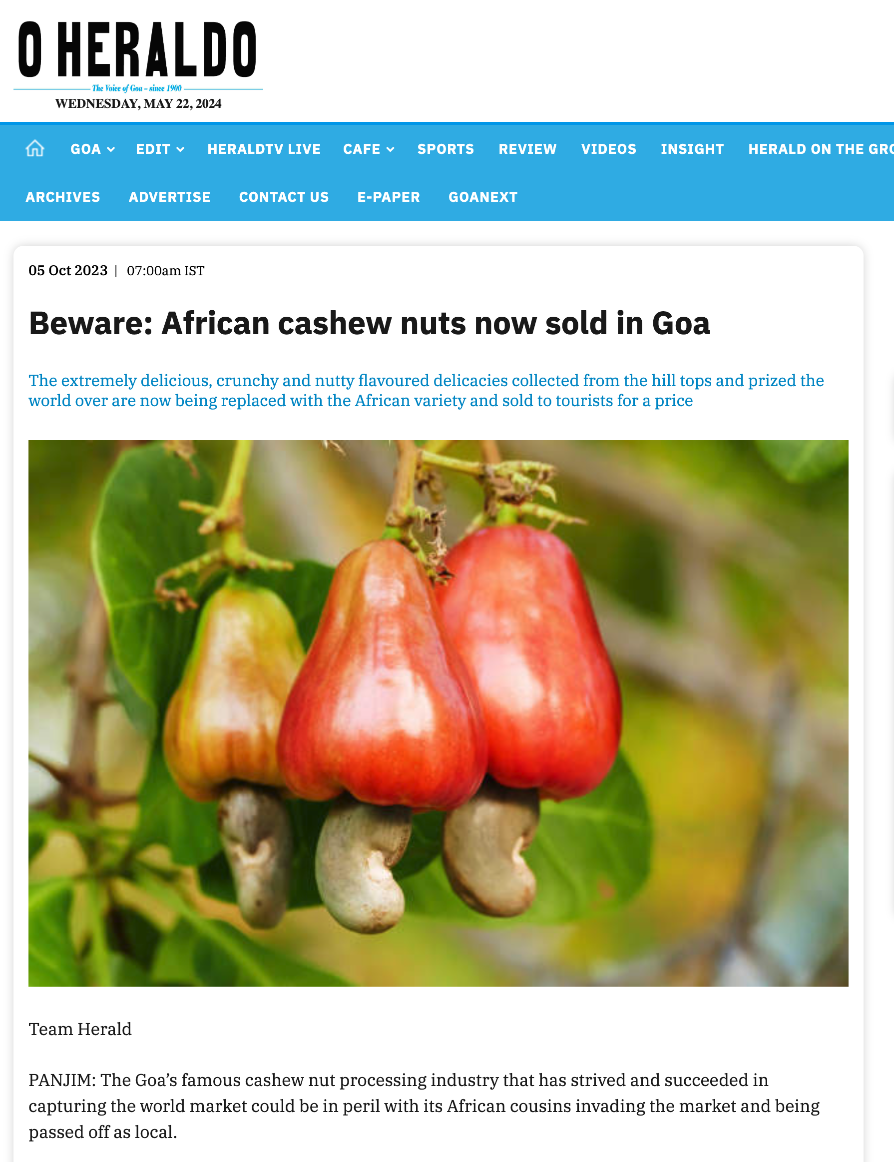 Best Place To Buy Cashews in Goa | Roasted Goa Cashew Nuts
